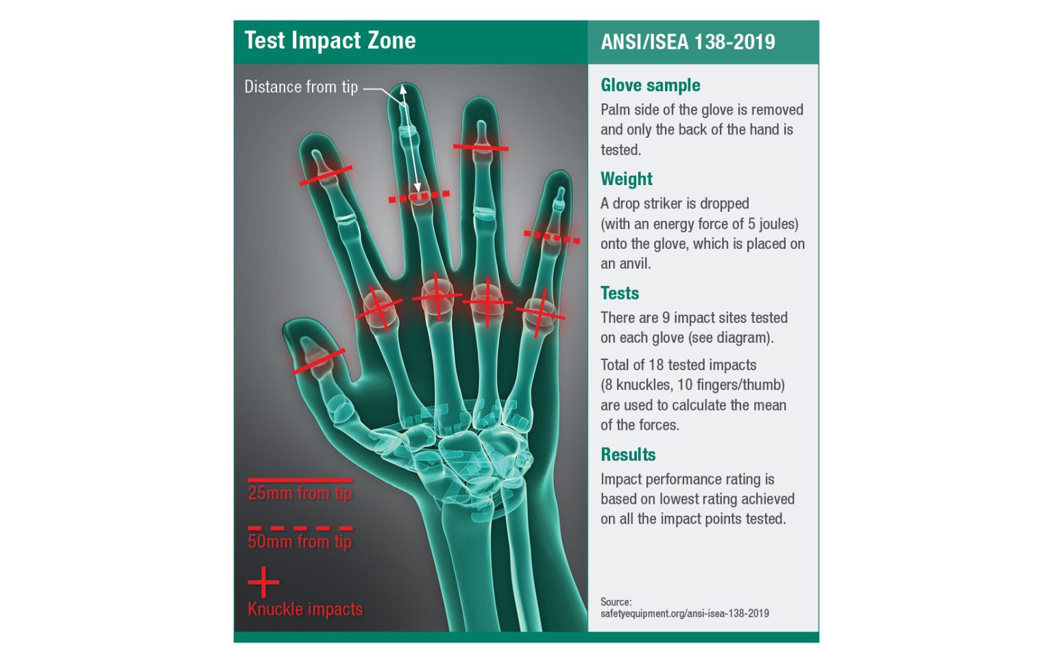 ANSI Impact - Bob Dale Gloves (BDG)